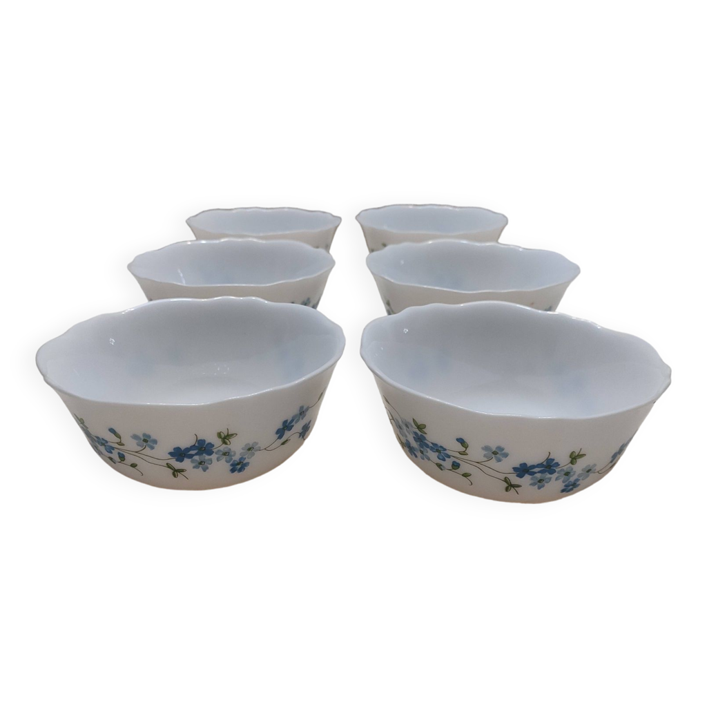 Bols Arcopal Myosotis | Selency