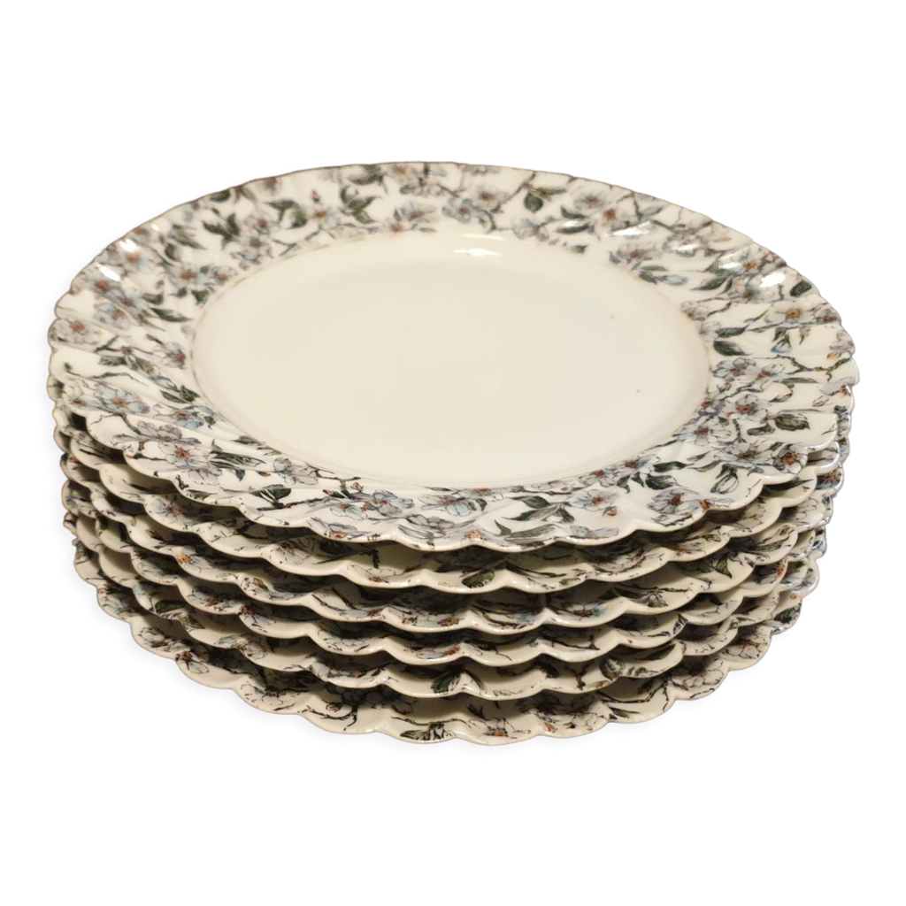 6 assiettes plates 24cm H&C | Selency