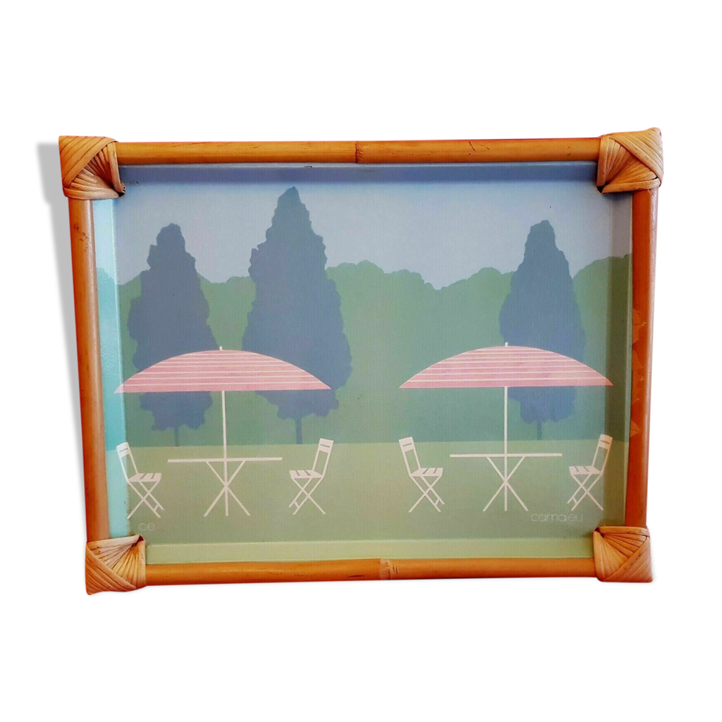 Plateau de service Alpac création camaieu années 70-80 fibre de verre ...