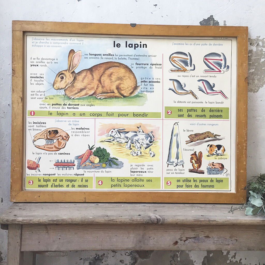 Affiche école vintage les Lapin & l’Argile | Selency