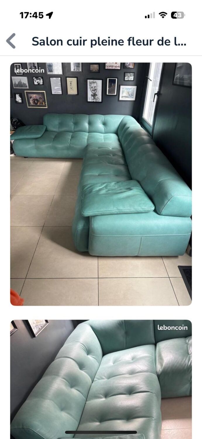 Canapé en cuir fine fleur | Selency