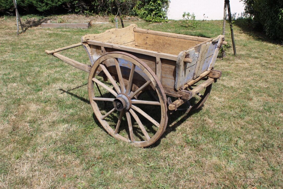 Charrette à bras 1900 | Selency