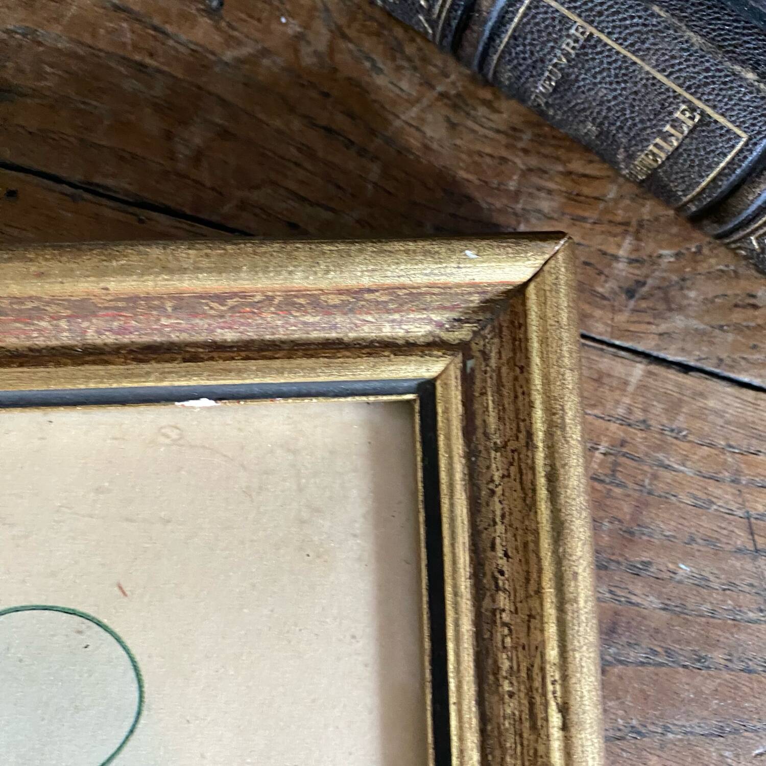 Gravure oiseaux du paradis, encadrée | Selency