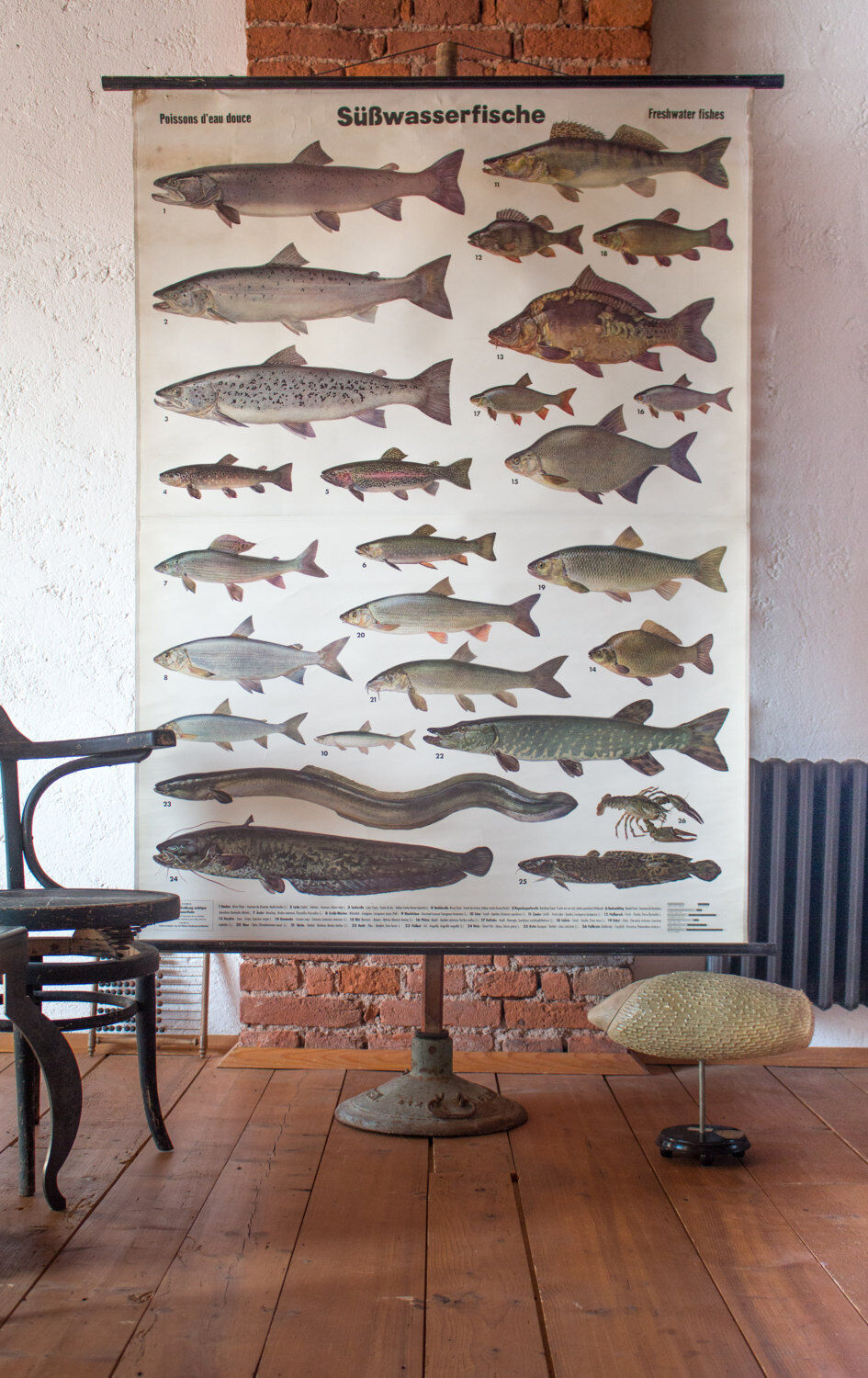 Affiches des poissons d 'eau douce du Québec - mddelcc