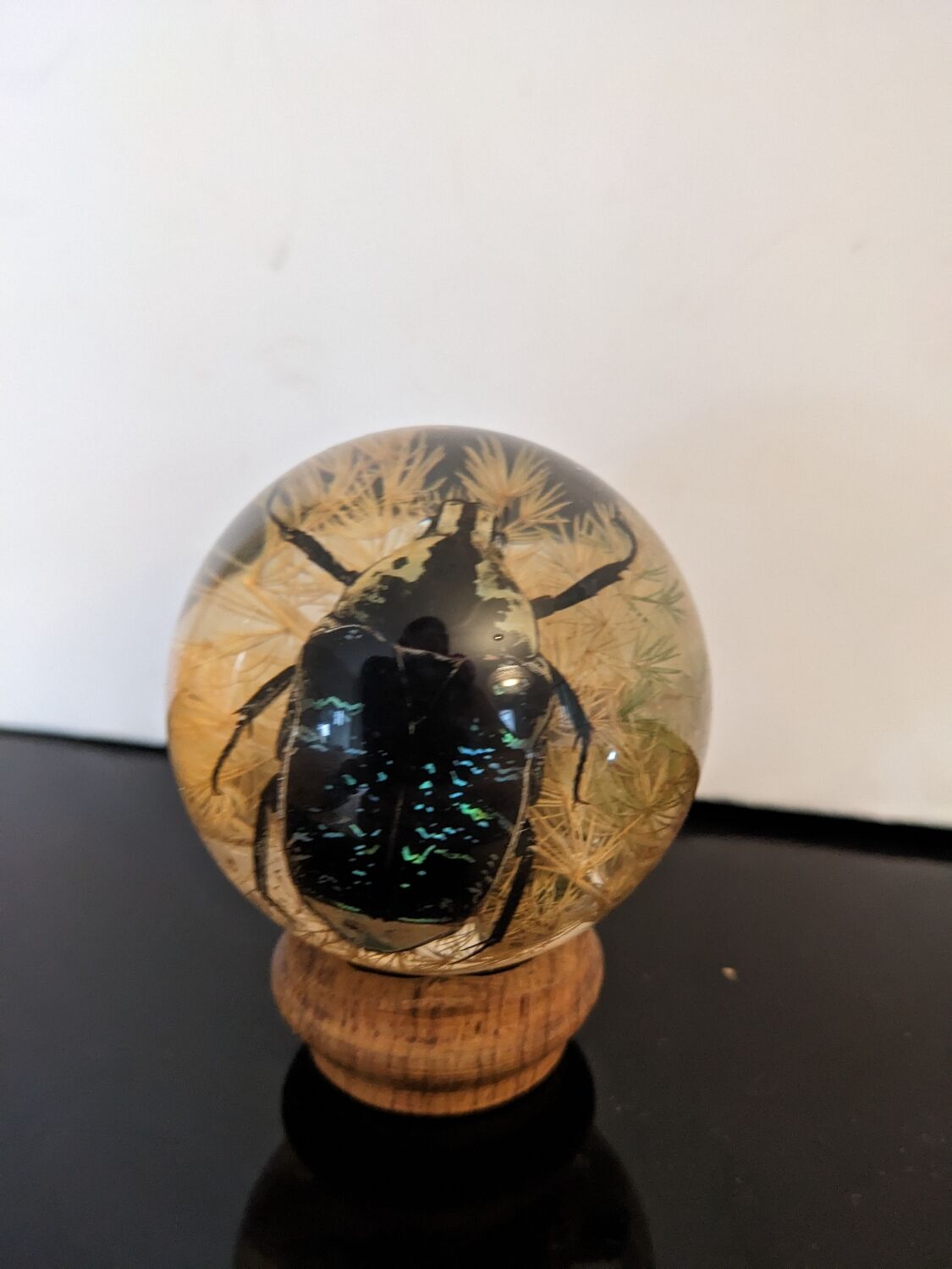 Curiosité boules en résine avec insecte scarabée ancienne | Selency