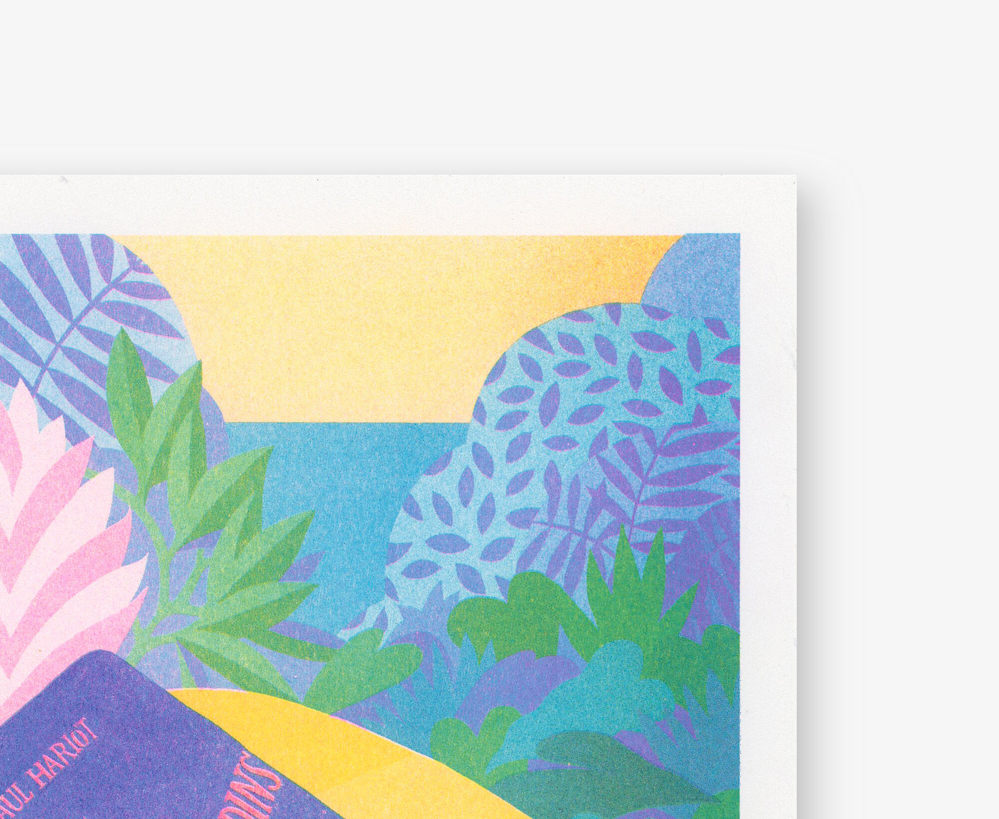 Illustration A5, livre, en risographie | Selency