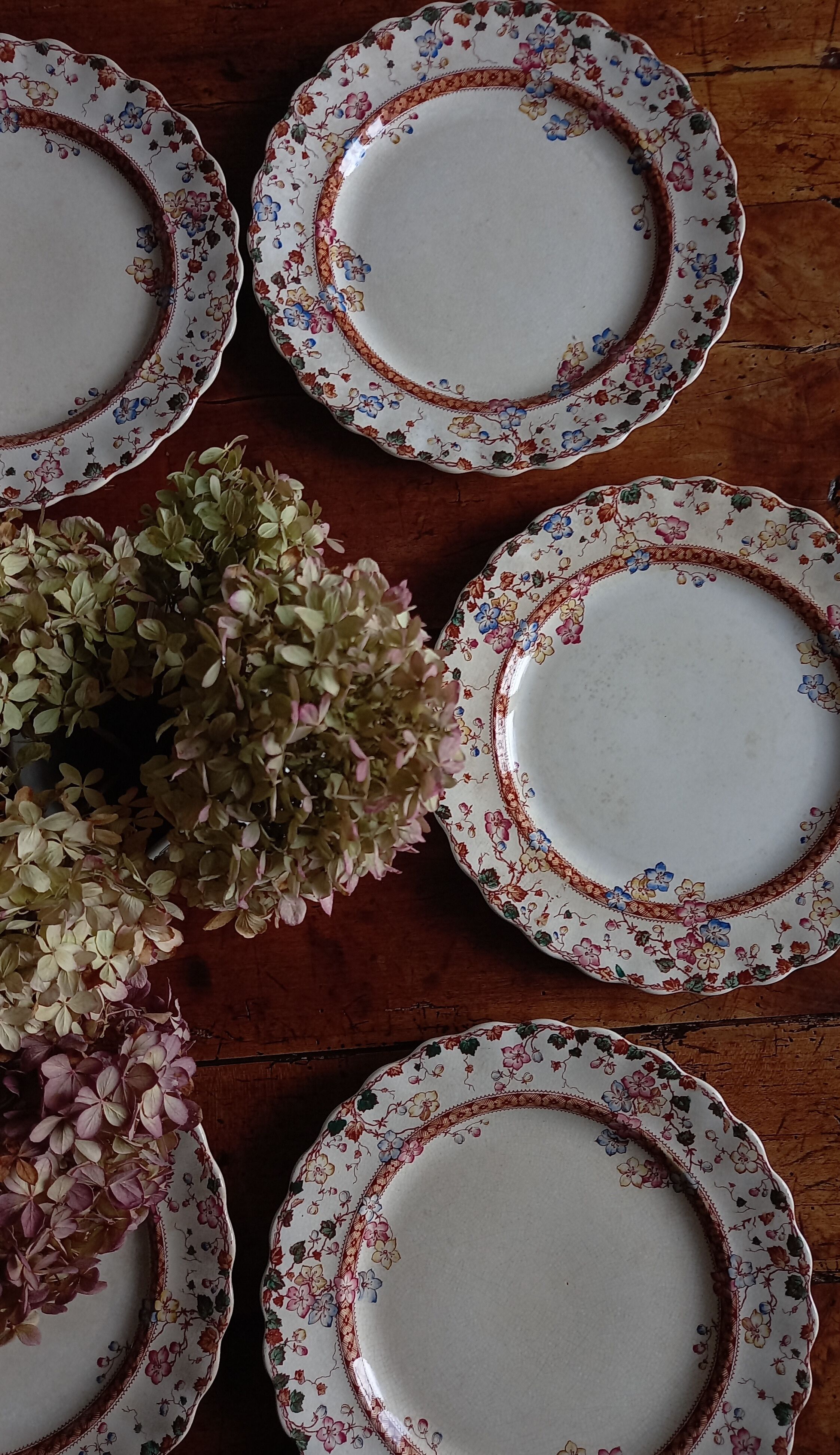 6 grandes assiettes terre de fer anglaise E. Bourgeois Grand Dépôt ...