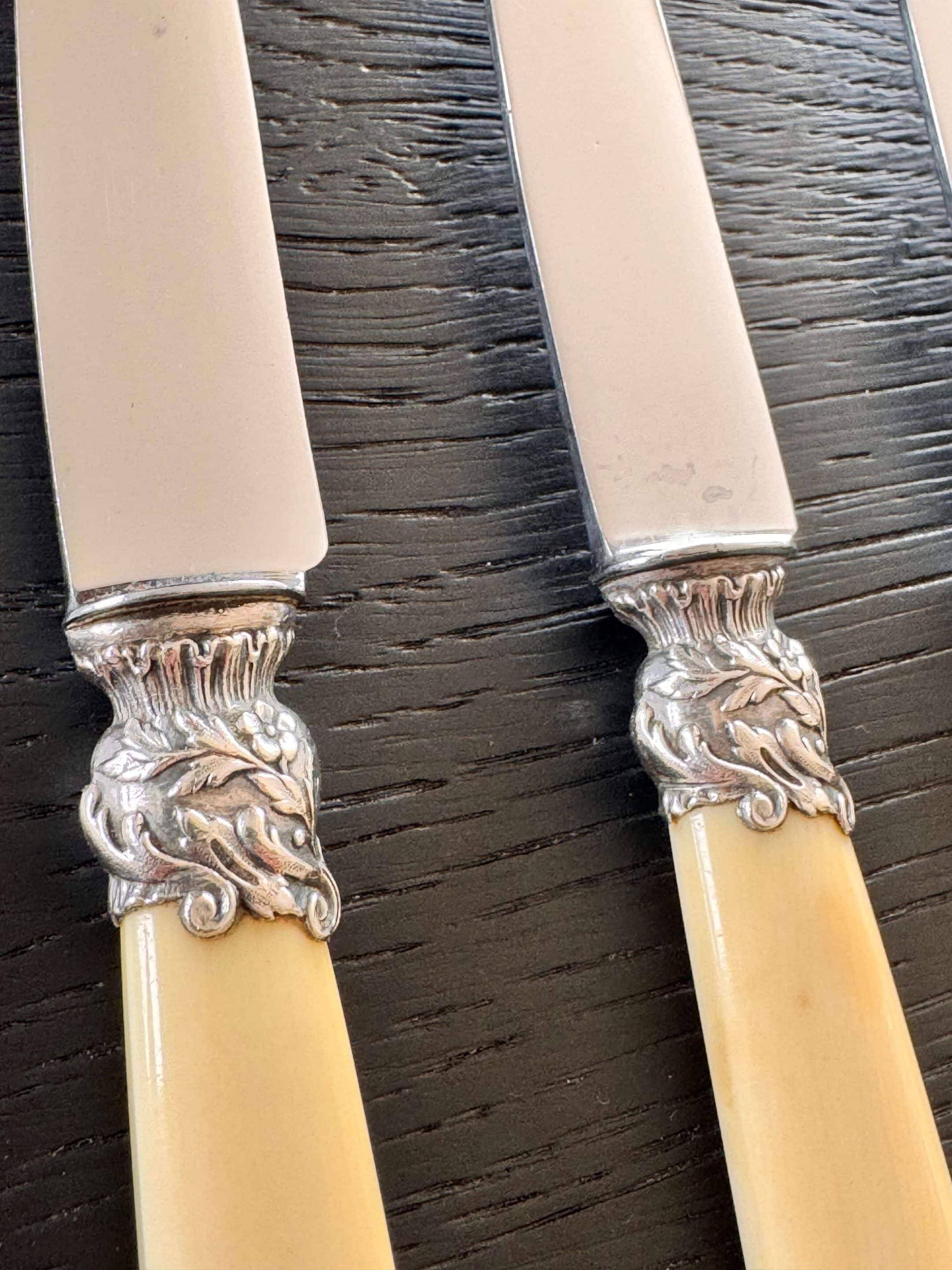 12 couteaux et service à gigot Robert Linzeler pour Jules Piault Paris | Selency