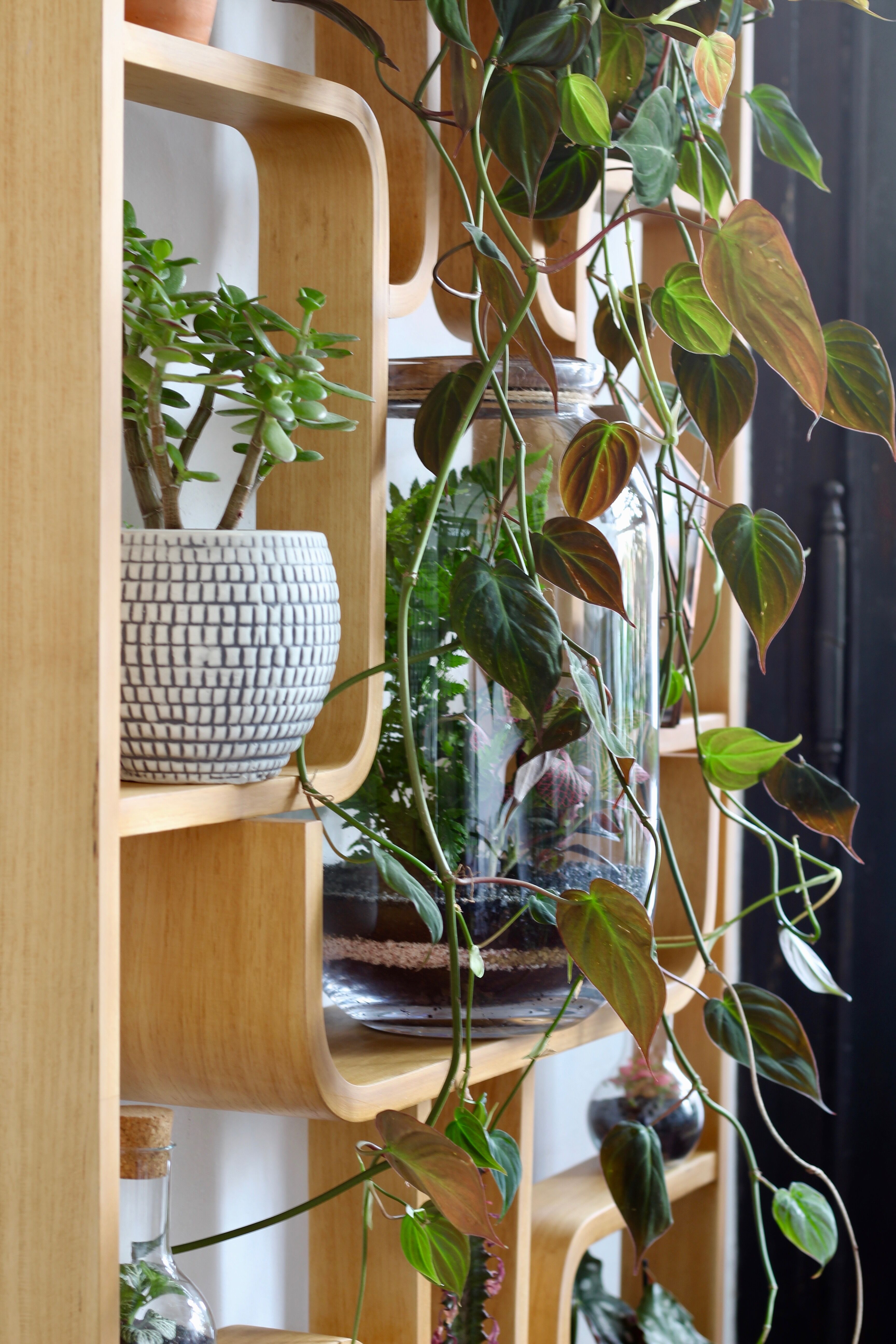 Claustra par Ludvik Volak pour Drevopodnik Holesov, années 1960 ...