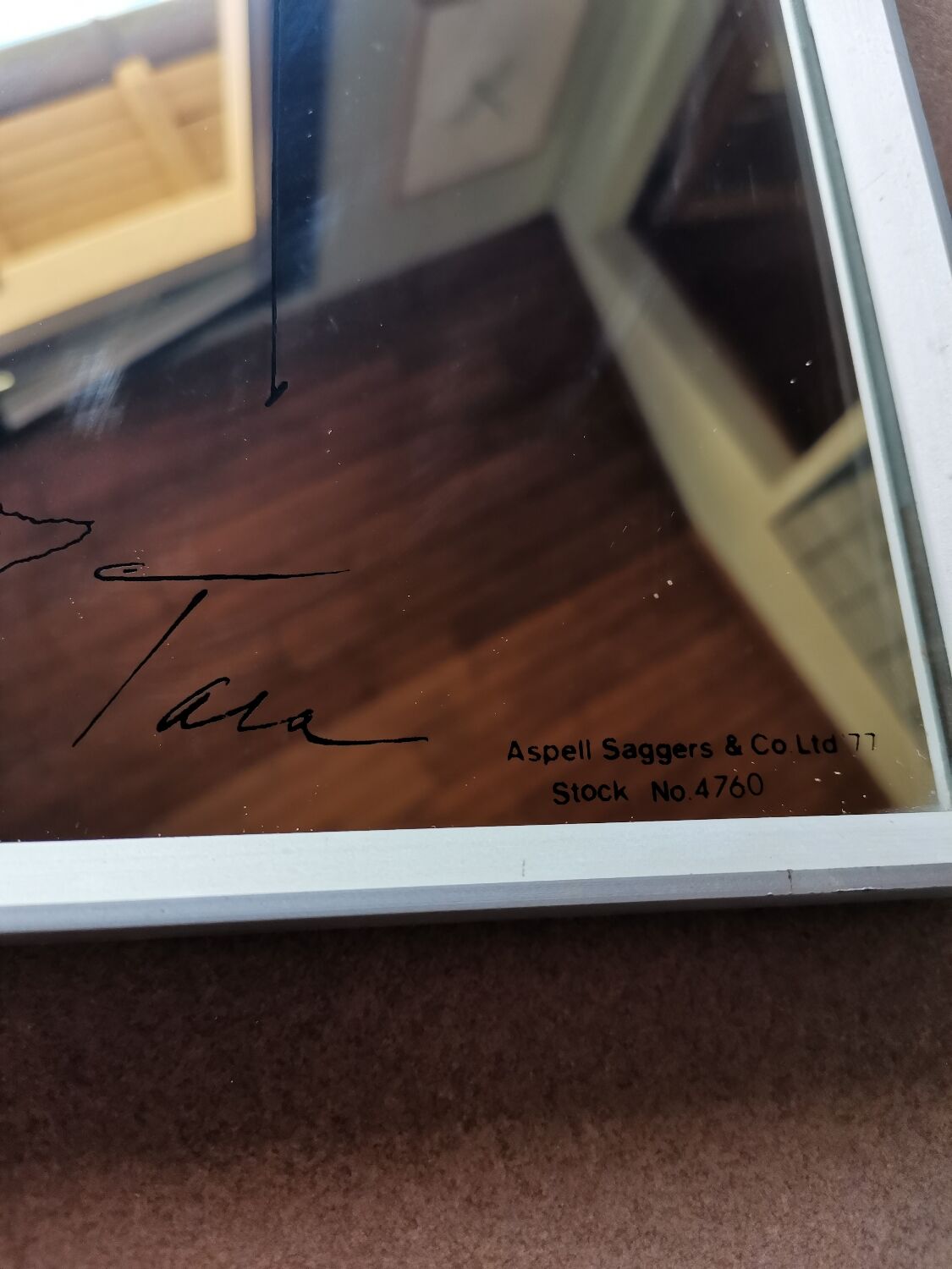 Miroir sérigraphié Stapco USA Tara Aspell Saggers 62x31cm | Selency