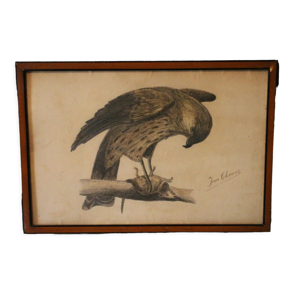 Dessin technique mixte fin 19e signé Jean Thomas au rapace et au ...