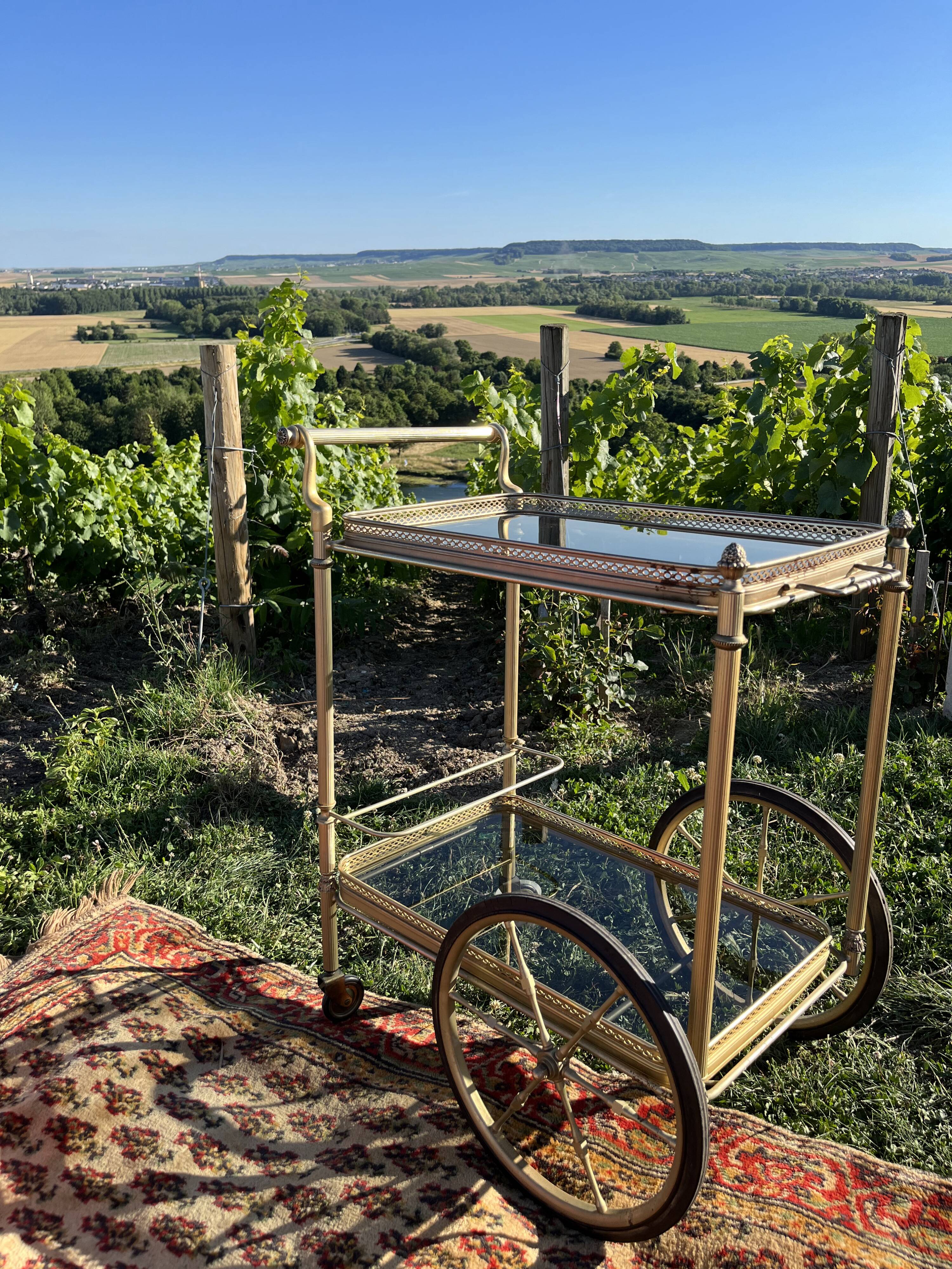 Server / bar trolley on wheels in golden brass | Selency