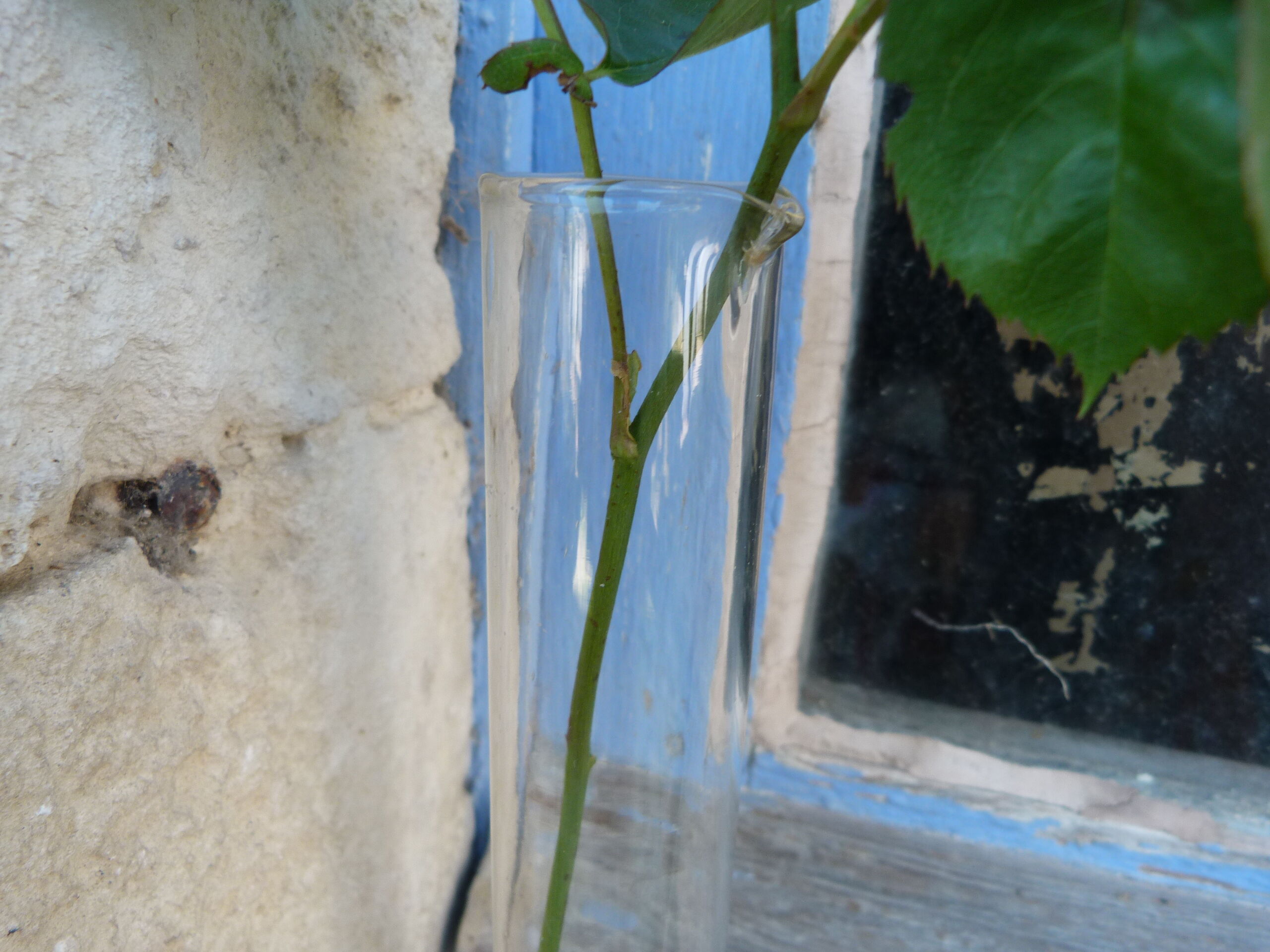 Vase soliflore ancien tube en verre verseur chimie | Selency