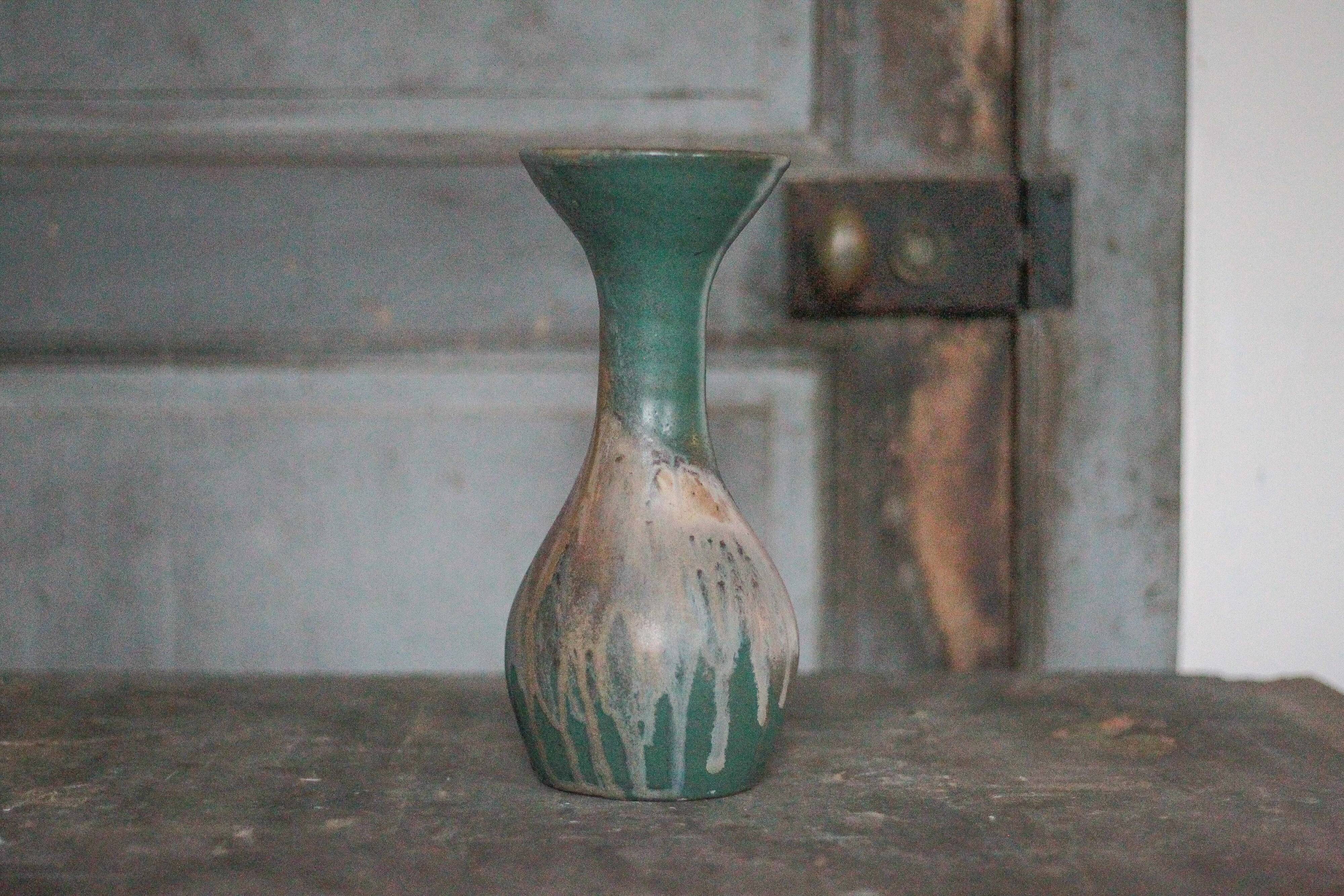 Taxidermie tête de sanglier, sanglier, trophée de chasse, décoration ...