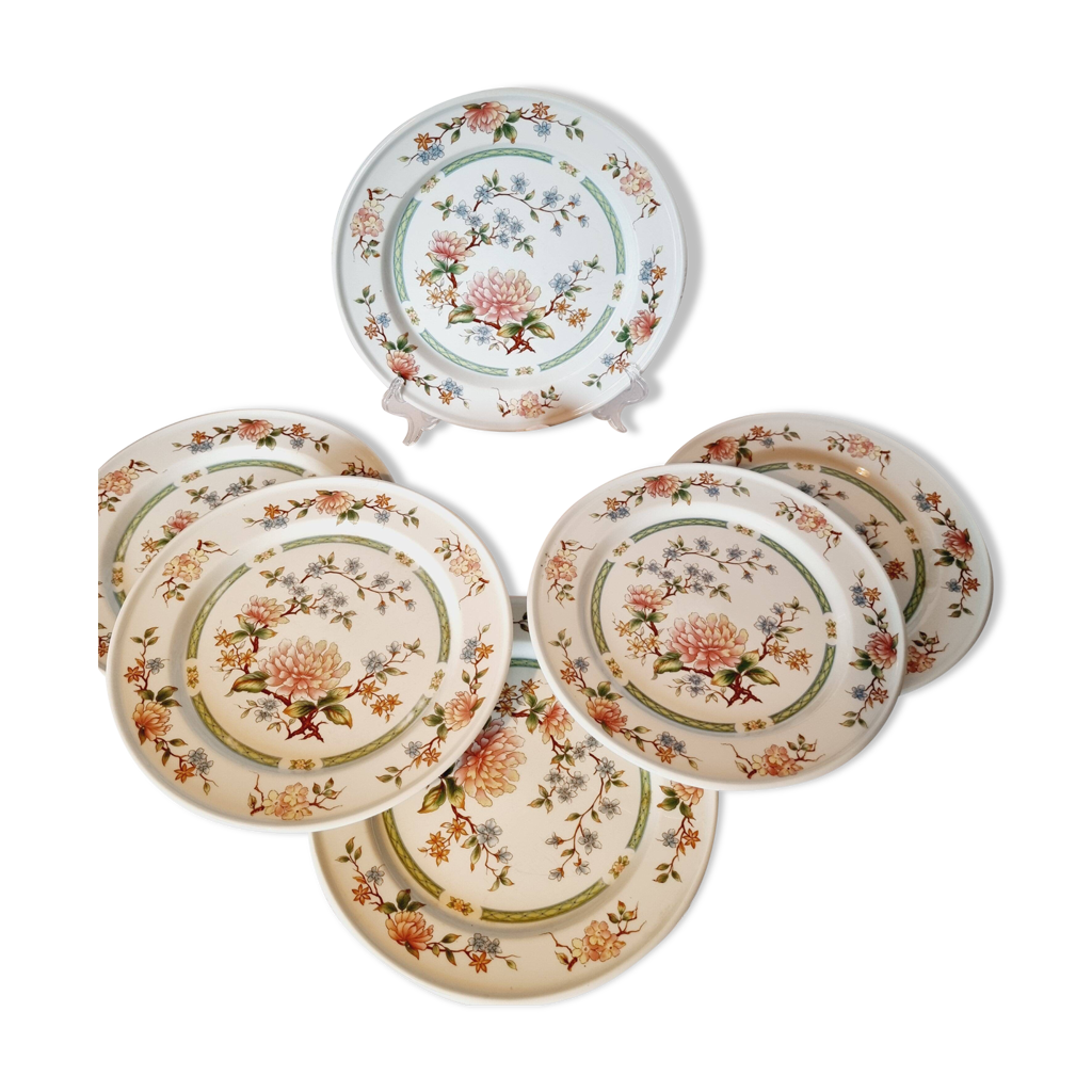 6 Grandes Assiettes Plates à Décor Flo6 Grandes Assiettes Plates à ...