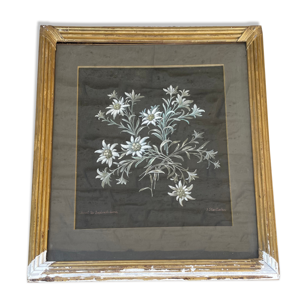 Tableau peinture ancienne fleurs Stauffacher cabinet de curiosité | Selency