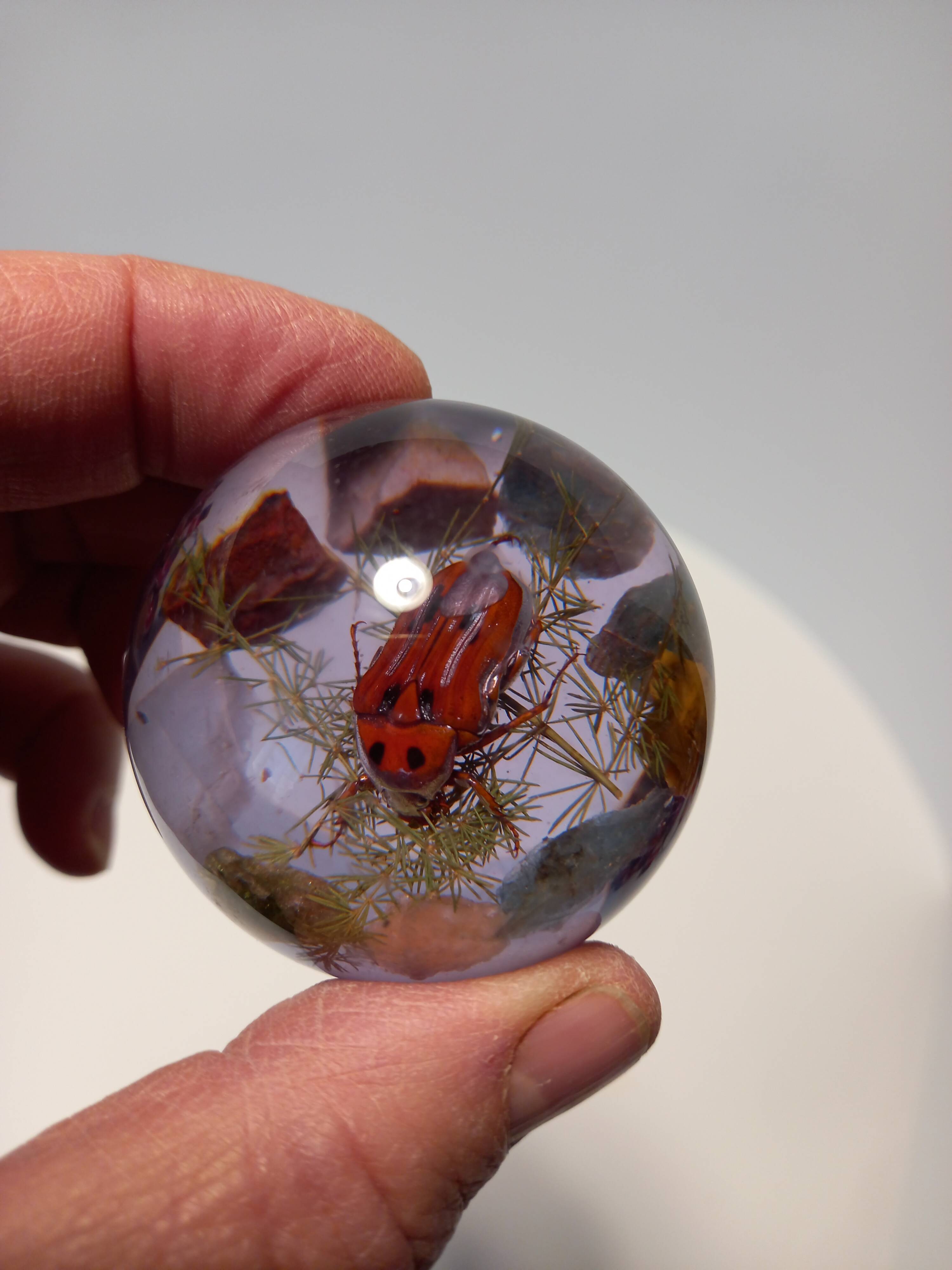 Sulfure coccinelle | Selency