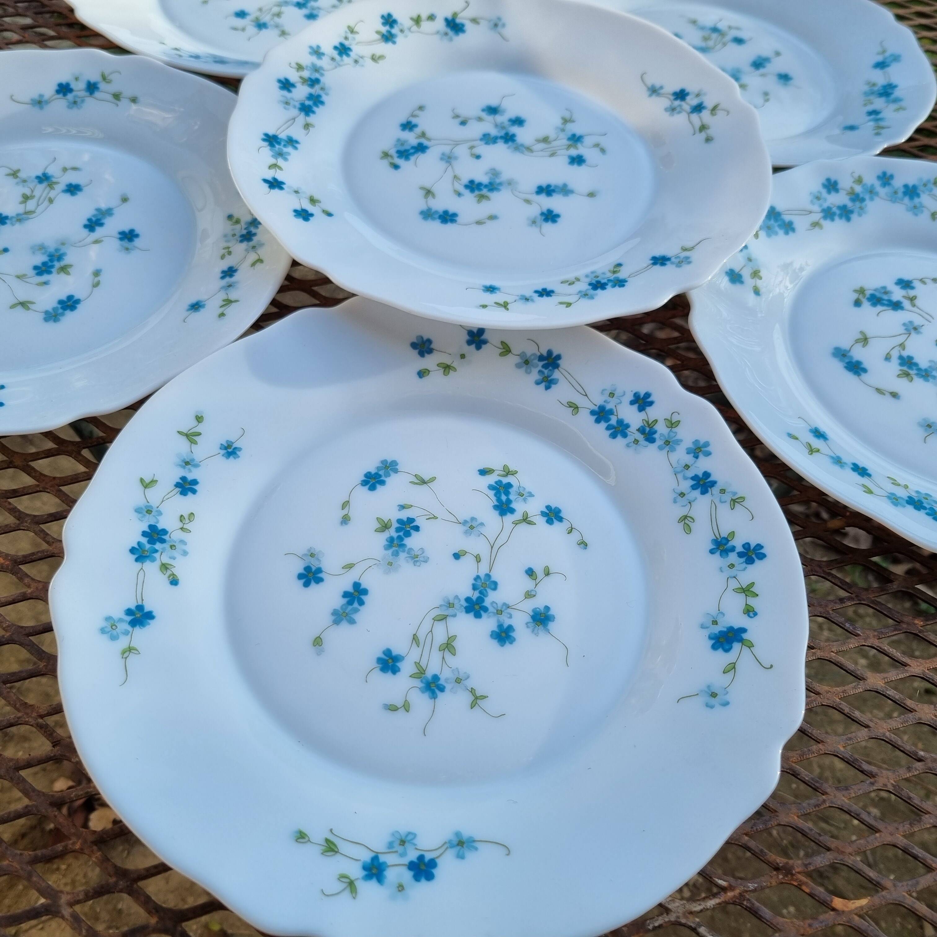 6 grande assiette plate vintage arcopal modele veronica decor myosotis ...