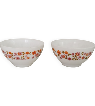 Bols arcopal modèle scania vintage | Selency