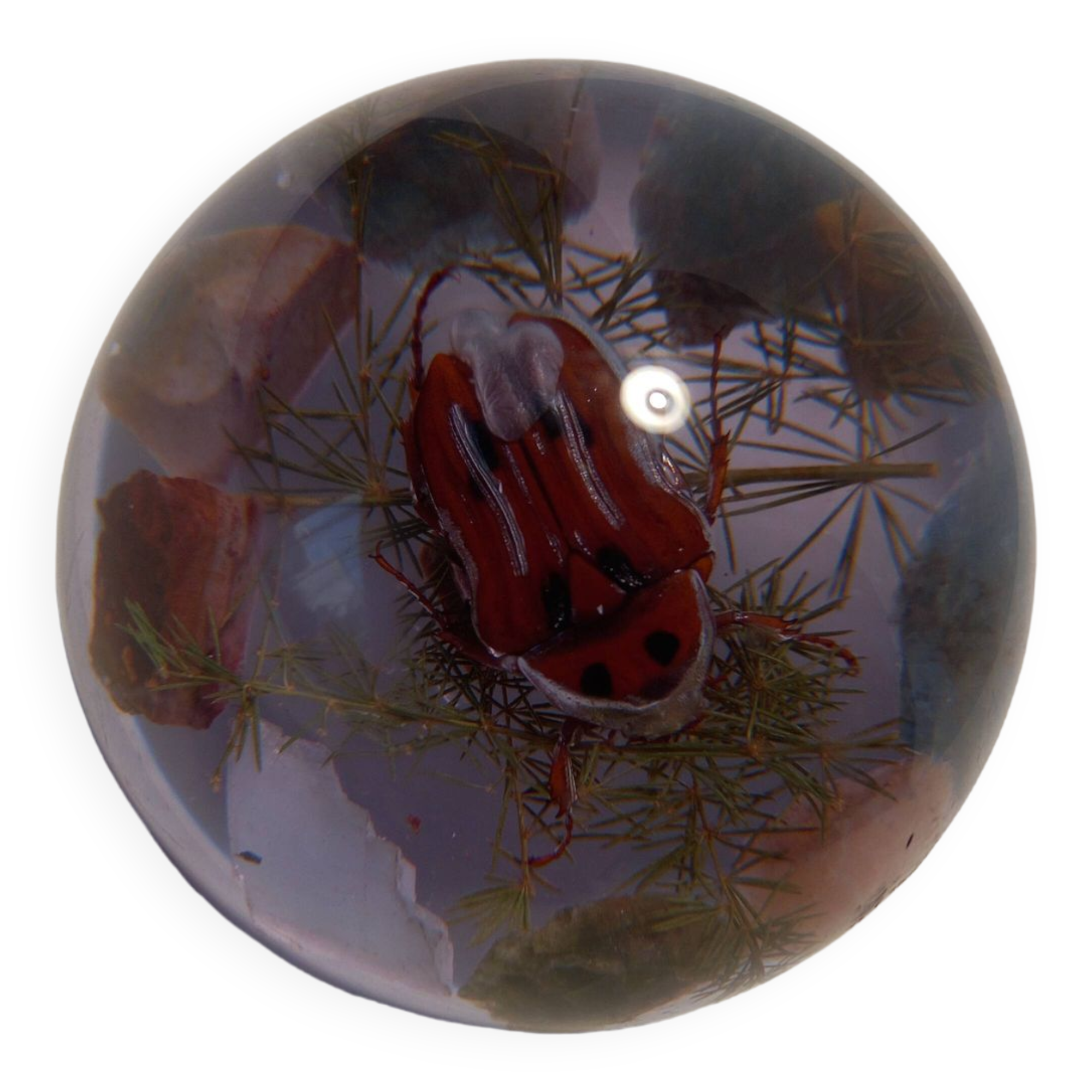 Sulfure coccinelle | Selency