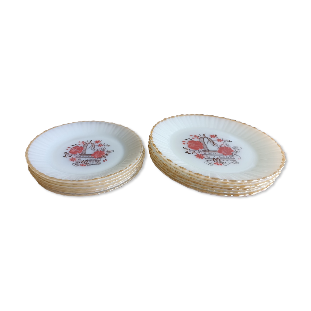 12 assiettes termocrisa mexico - panier de roses | Selency