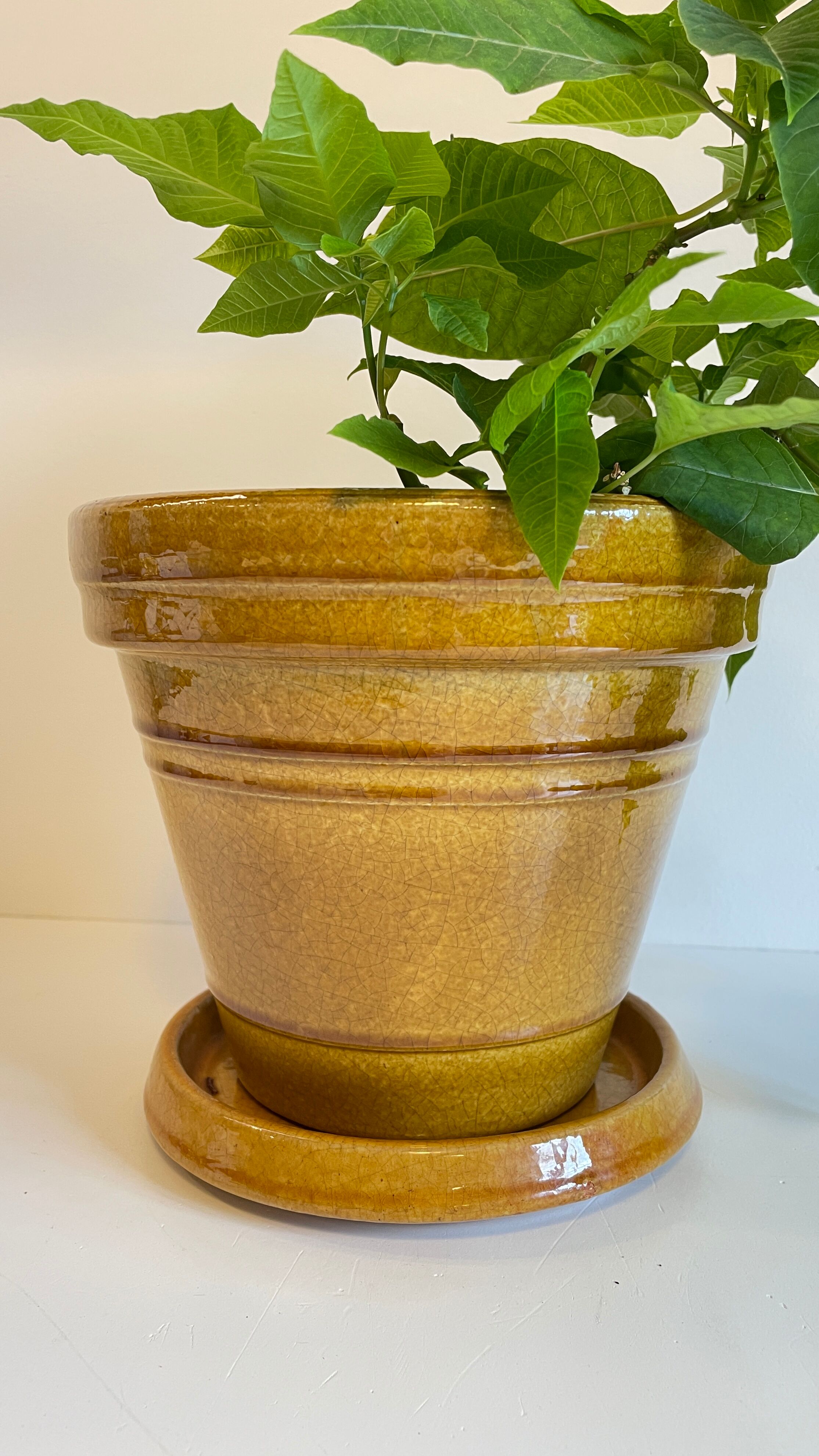 Pot à trou et sa soucoupe, poterie Clarous France | Selency