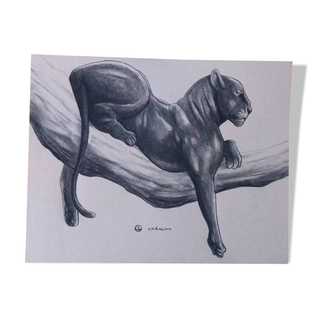 Art animalier Dessin de panthère noire branchée | Selency