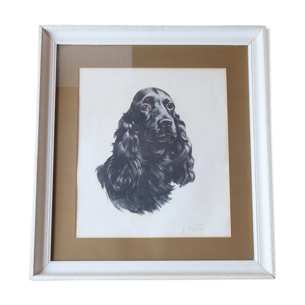 Portrait animalier, peinture signée de Jean Rivet, années 60 | Selency