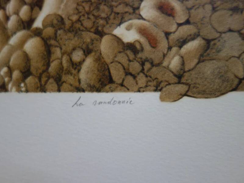 Roland CAT : Vélo et champignons, lithographie originale signée | Selency