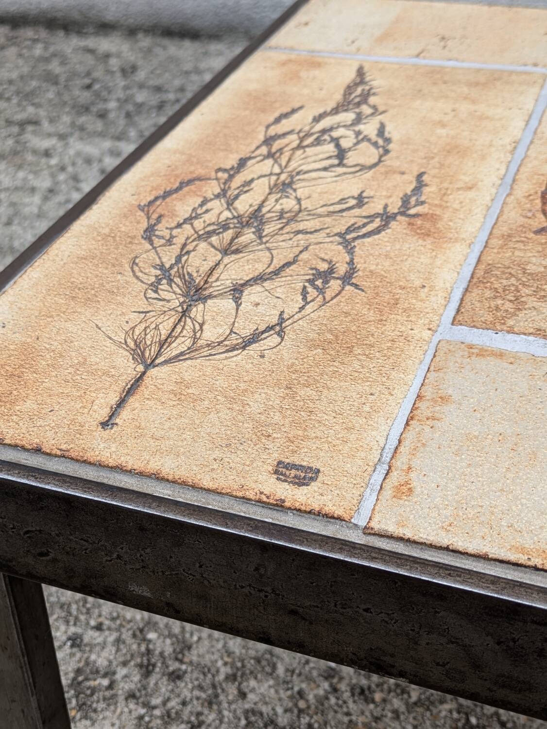 Table basse rectangle Roger Capron "herbier" structure acier patiné ...