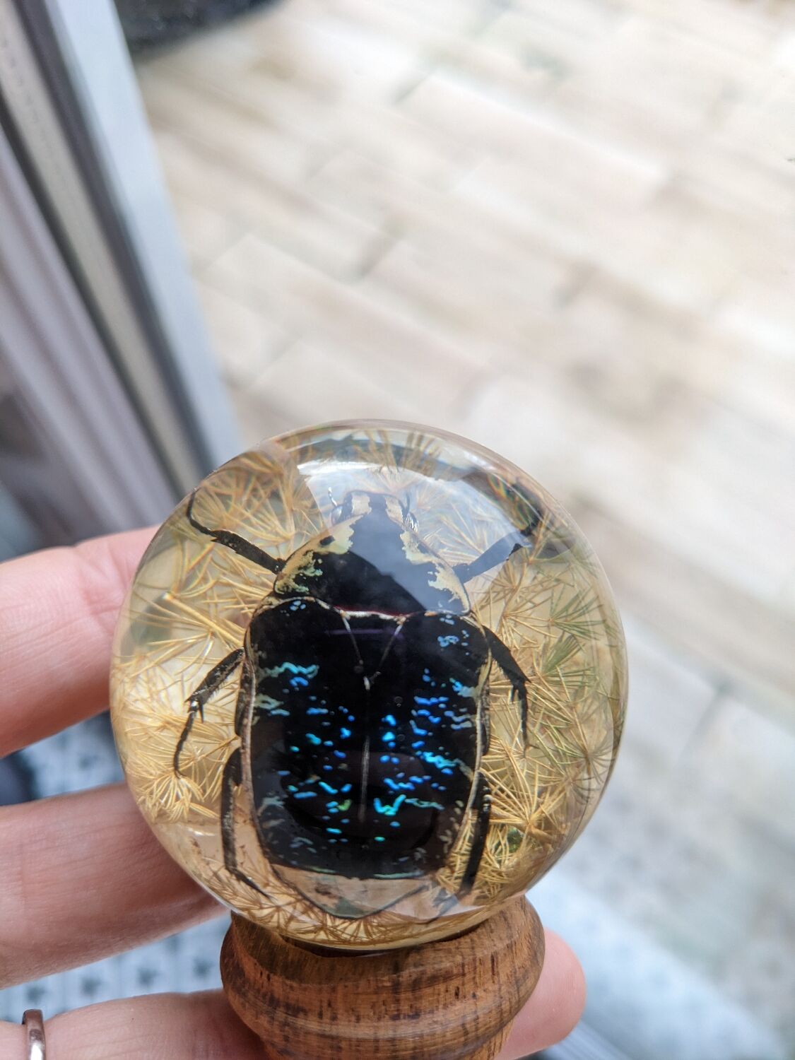 Curiosité boules en résine avec insecte scarabée ancienne | Selency