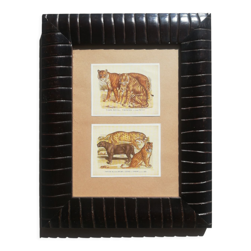 Vignettes reproductions vintage images epinal tigres, panthères sous ...