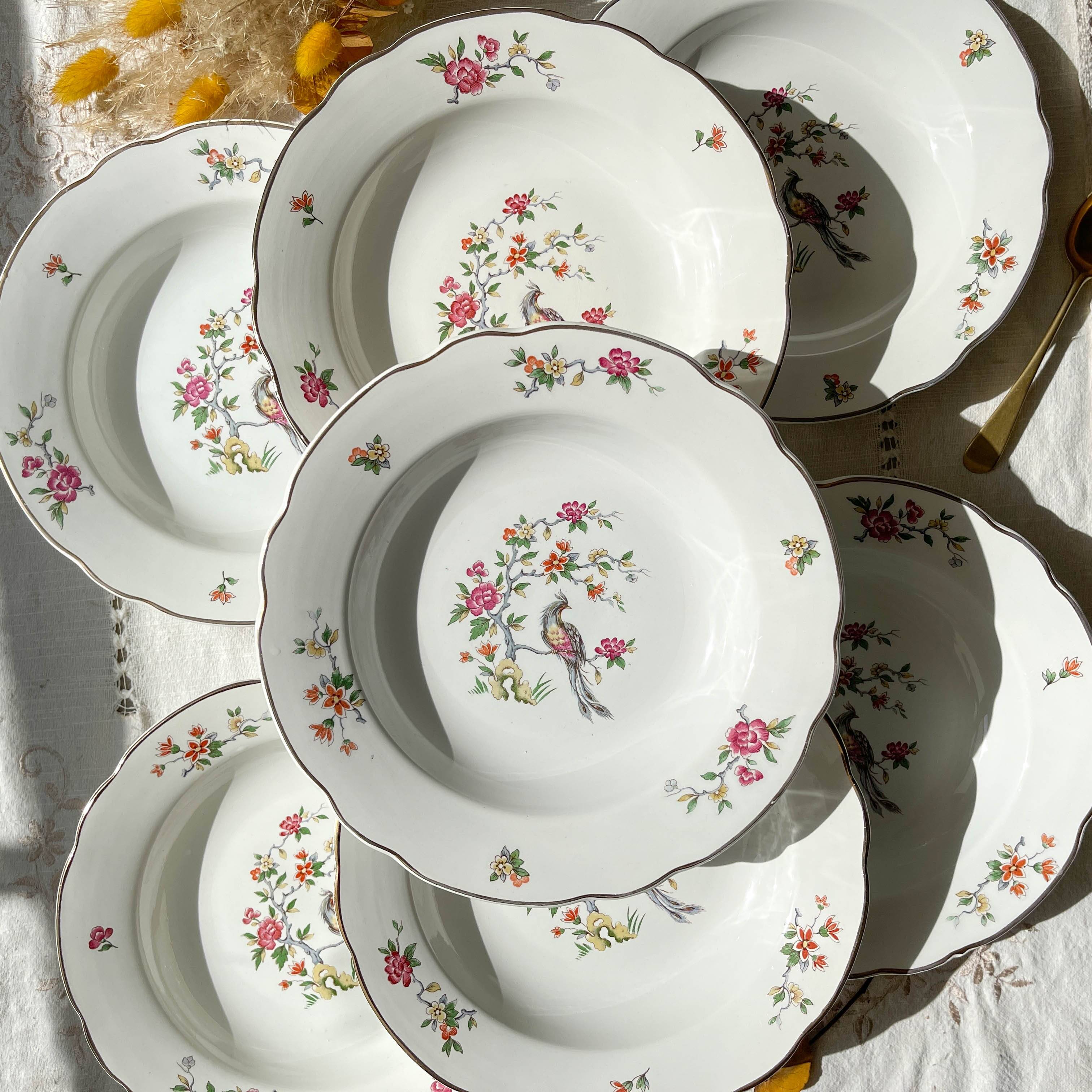 7 assiettes creuses en porcelaine vintage digoin sarreguemines modèle ...