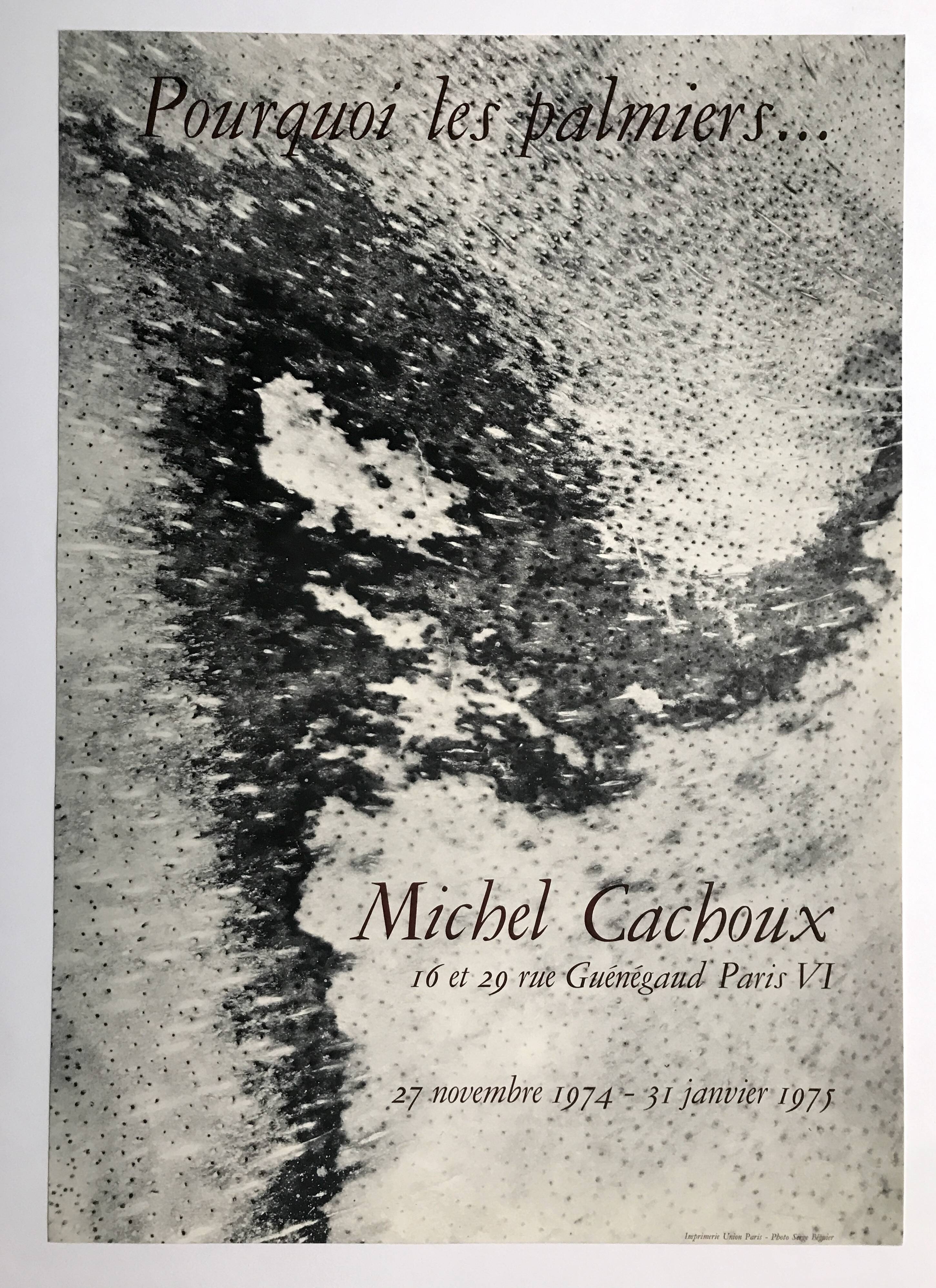 Serge BEGUIER Pourquoi les palmiers / Galerie Michel Cachoux, 1975 ...