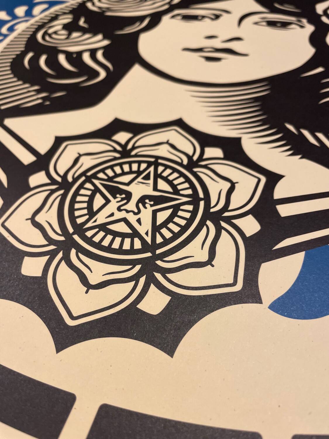 Shepard Fairey (OBEY)(1970) Liberté Egalité Fraternité, signed and ...