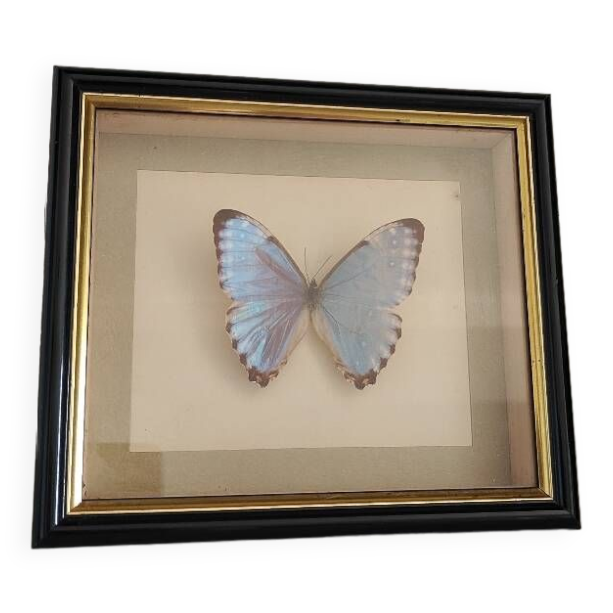Cadre papillon | Selency
