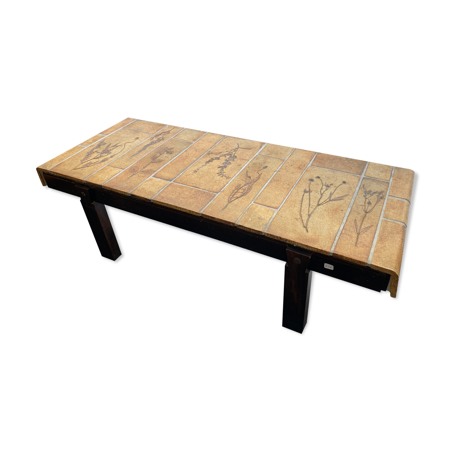 Table basse herbier de Roger Capron | Selency