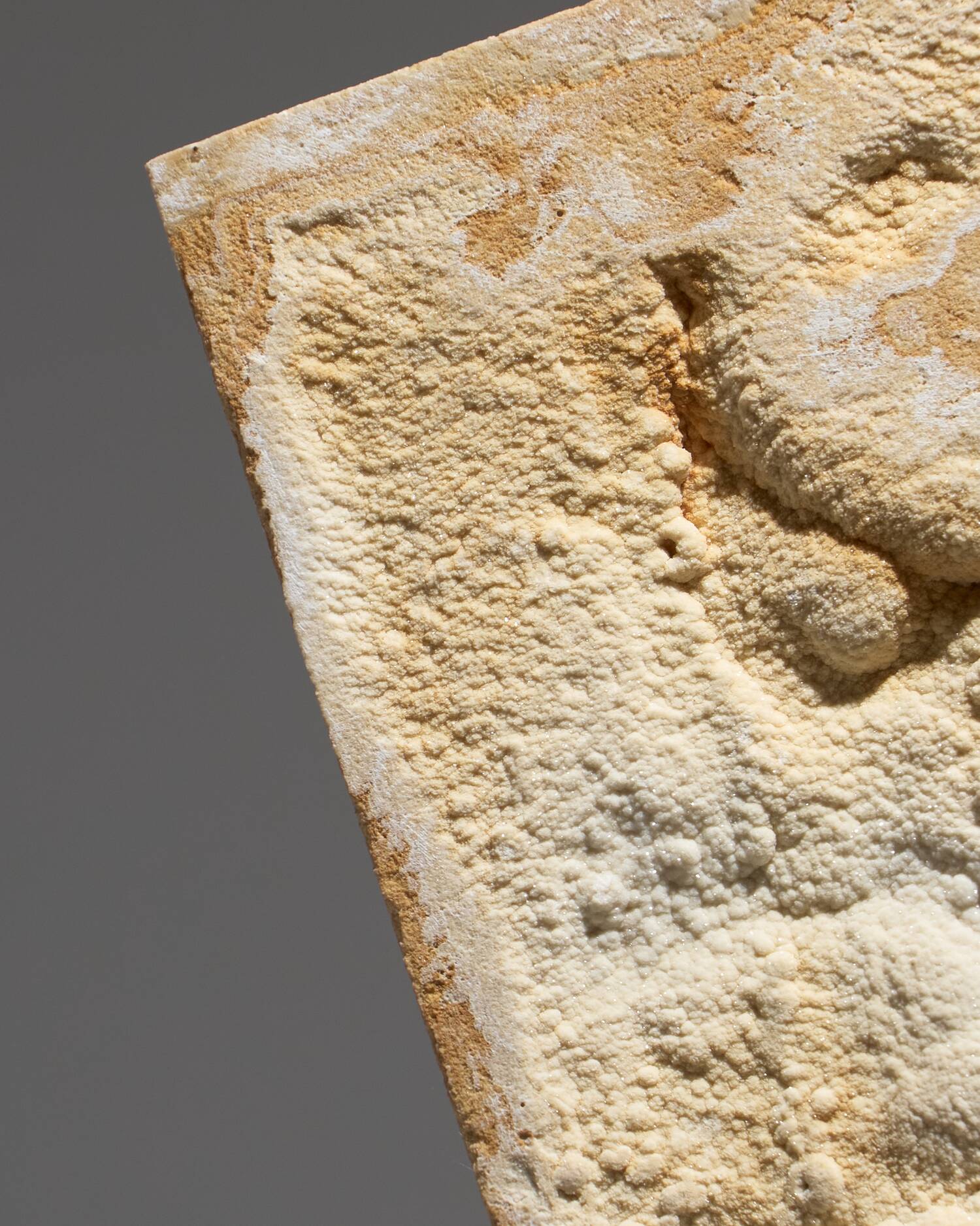 Petrified Limestone Bas-Relief Frame, 1960s | Selency