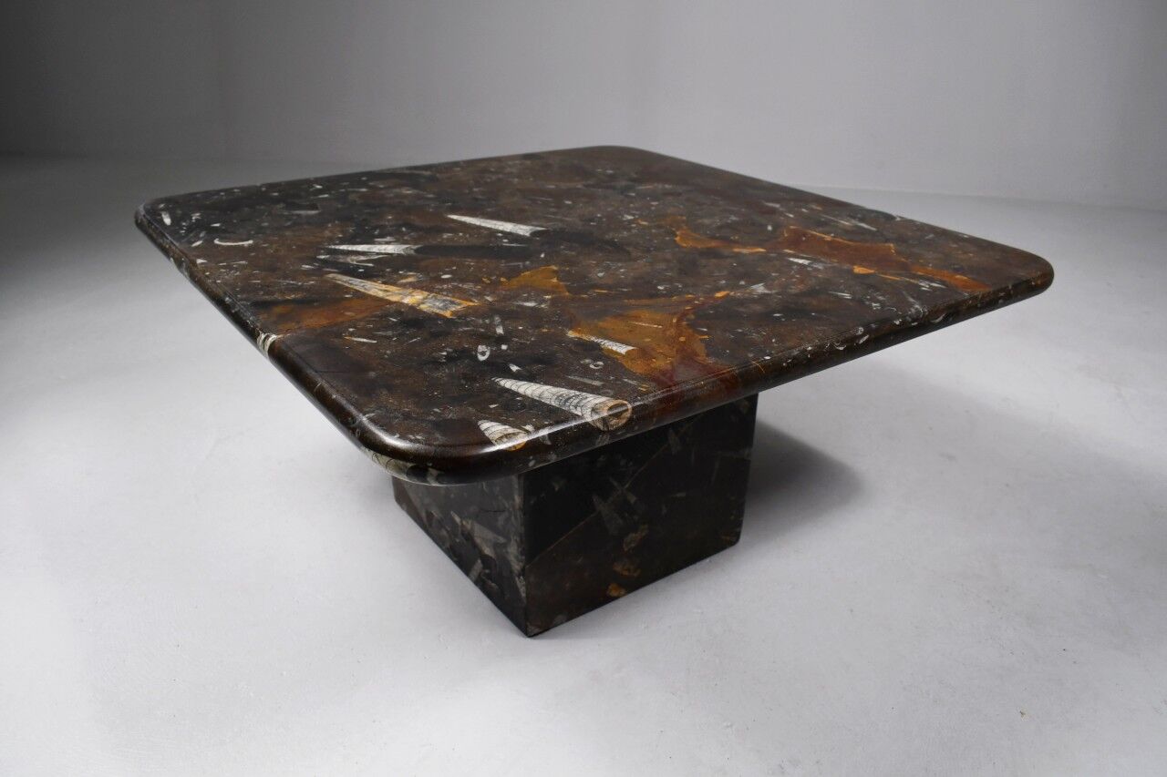 Petite table basse vintage fossilisée, années 1970 | Selency