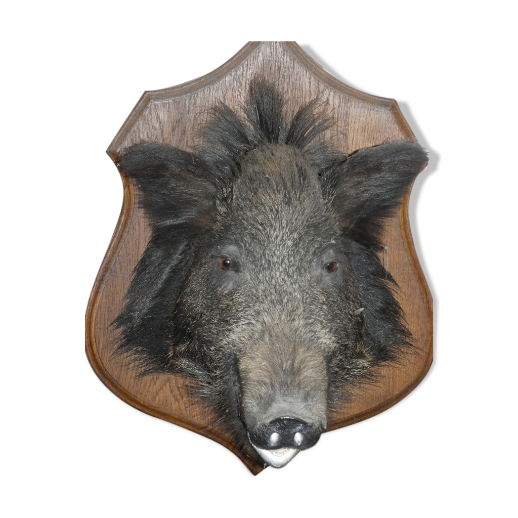 Tête de sanglier en cape sur écusson | Selency