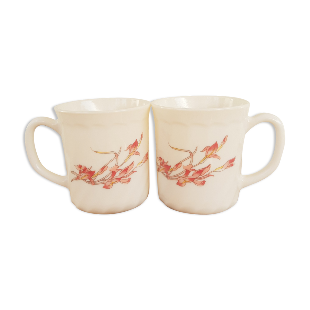 Duo de mugs arcopal motifs fleurs Iris vintage | Selency